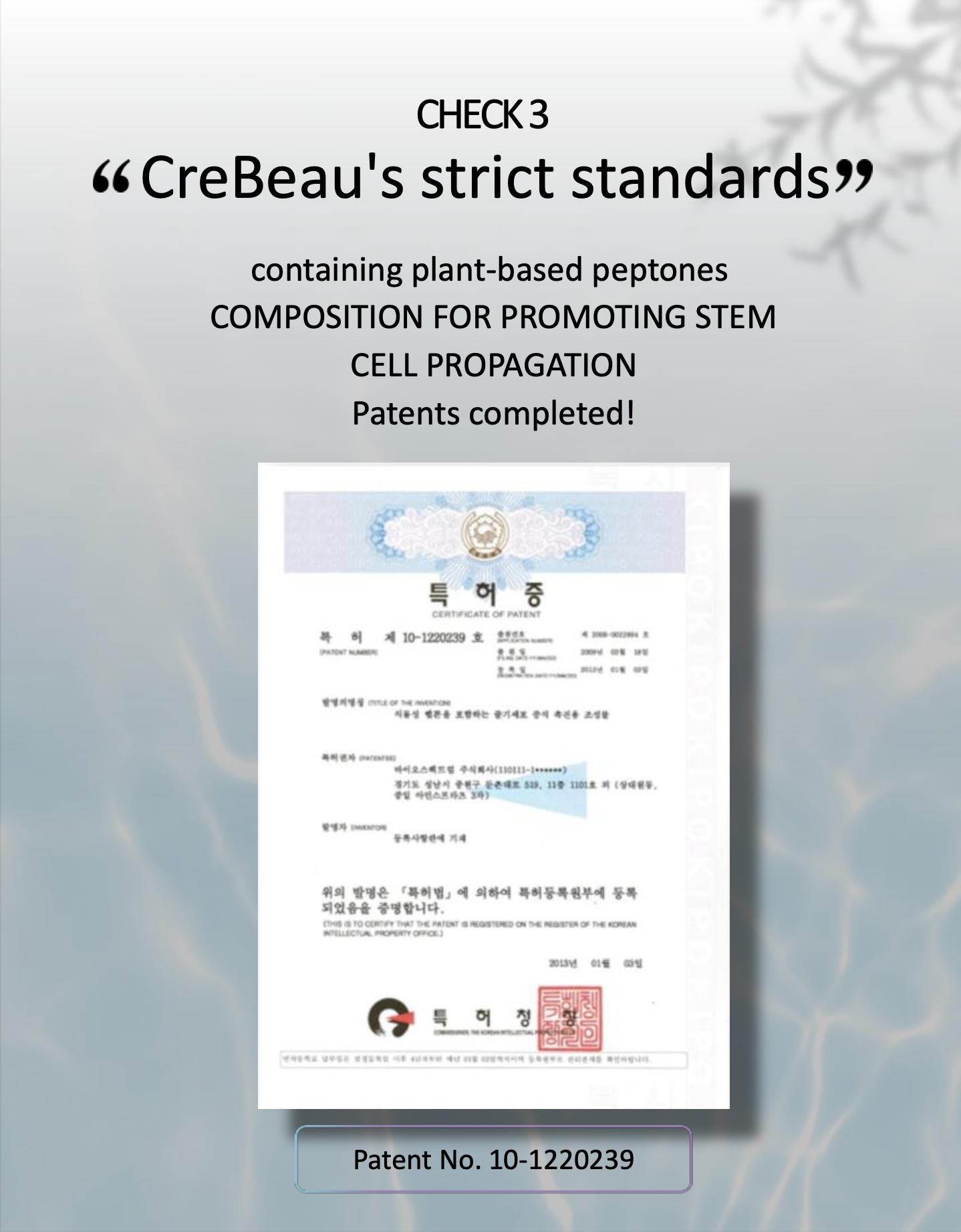 CreBeau Moisturizing Essence Mask - Dr PaceLeader